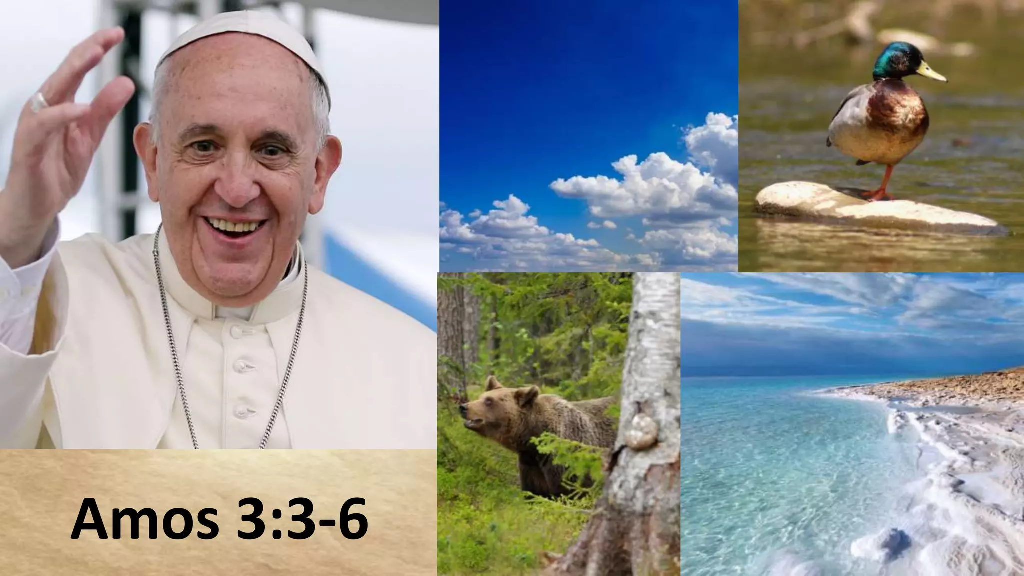 Amos: God's Roar for Justice and Mercy_The Lion Roars | PPTX