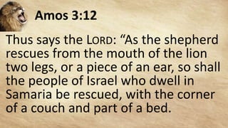 Amos: God's Roar for Justice and Mercy_The Lion Roars | PPTX