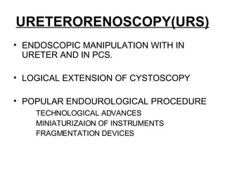 lions-kidney-presentation1 | PPT