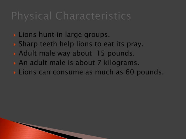 Lions powerpoint | PPTX