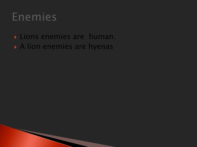Lions powerpoint | PPTX