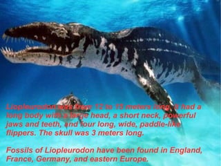 Liopleurodon | ODP