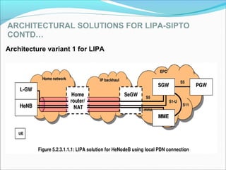 Lipa sipto overview | PPT