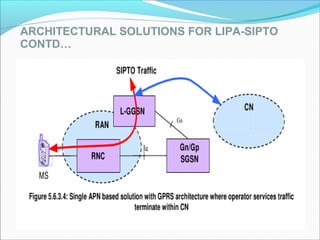 Lipa sipto overview | PPT