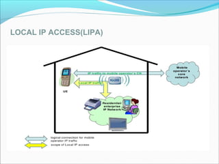 Lipa sipto overview | PPT