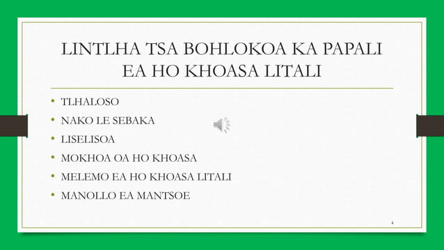 LIPAPALI TSA BASOTHO.pptx