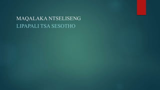 LIPAPALI TSA SESOTHO.pptx