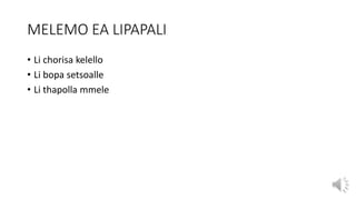 LIPAPALI TSA SESOTHO.pptx
