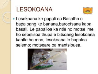 LIPAPALI TSA SESOTHO (2).pptx
