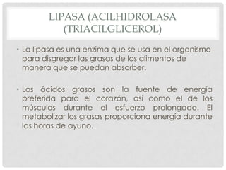 Lipasa pancreatica | PPTX