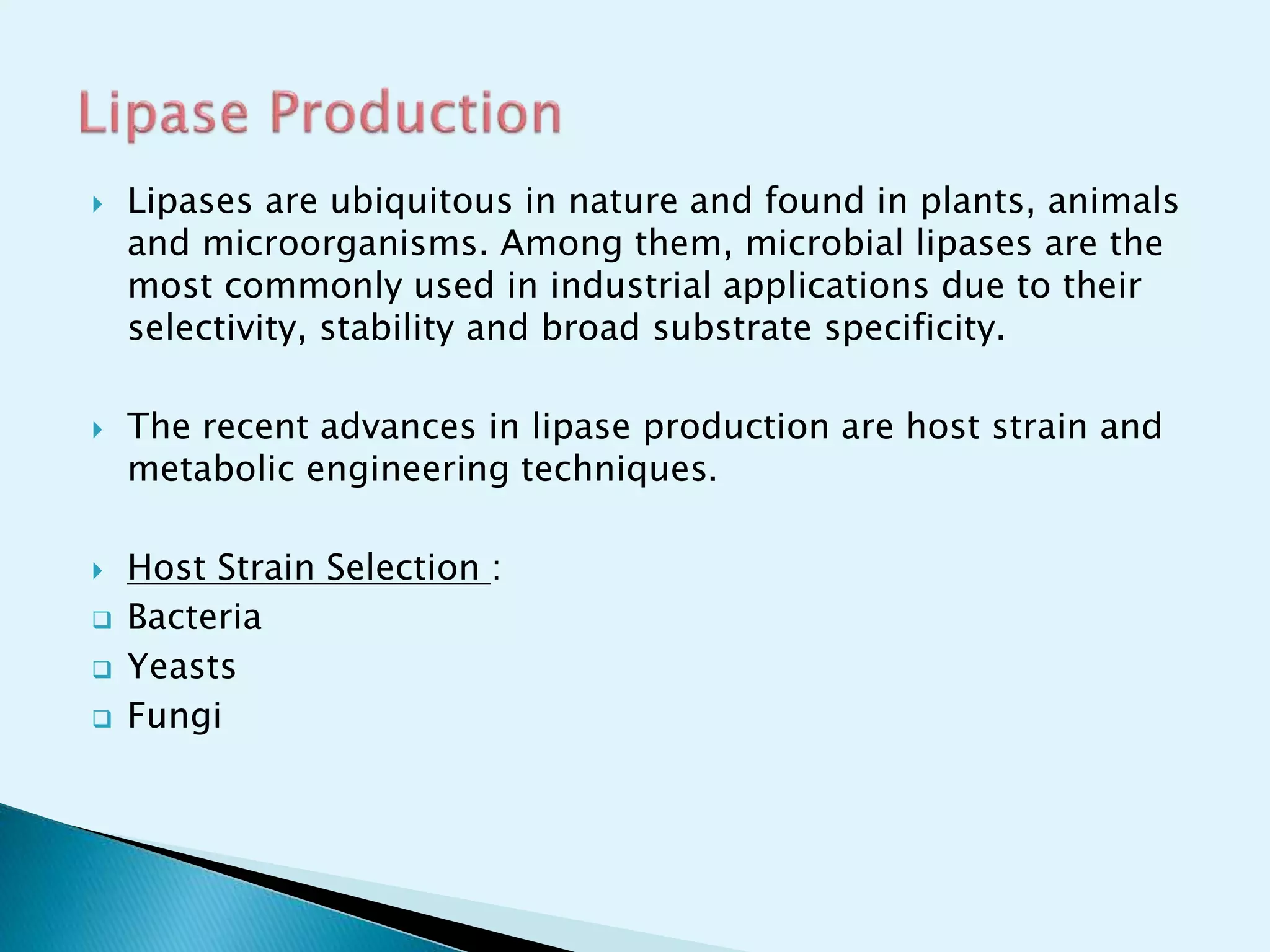 Lipase catalyzed process for biodiesel production protein engineering ...