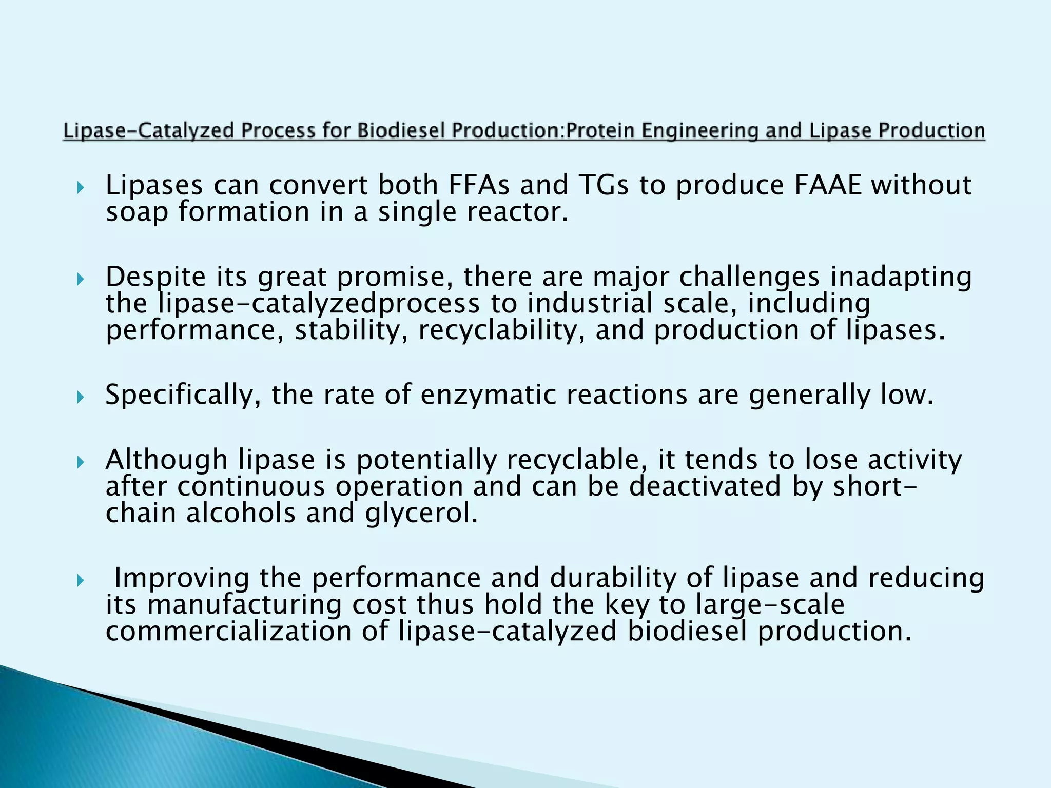Lipase catalyzed process for biodiesel production protein engineering ...