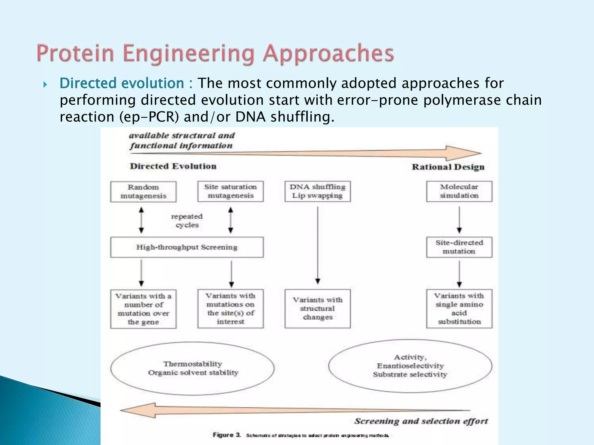 Lipase catalyzed process for biodiesel production protein engineering ...
