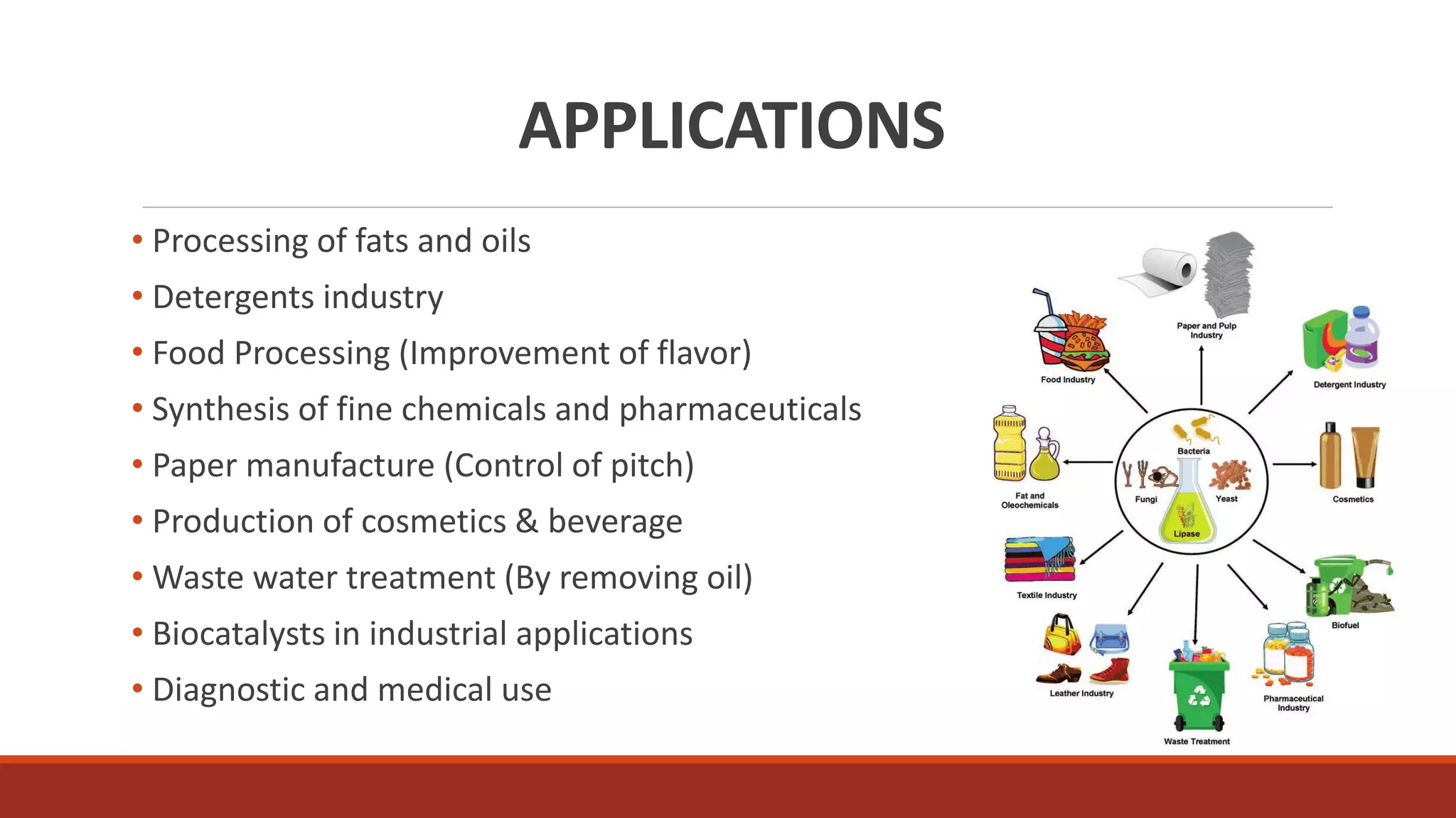 Lipases & Industrial Production of Lipases | PPTX