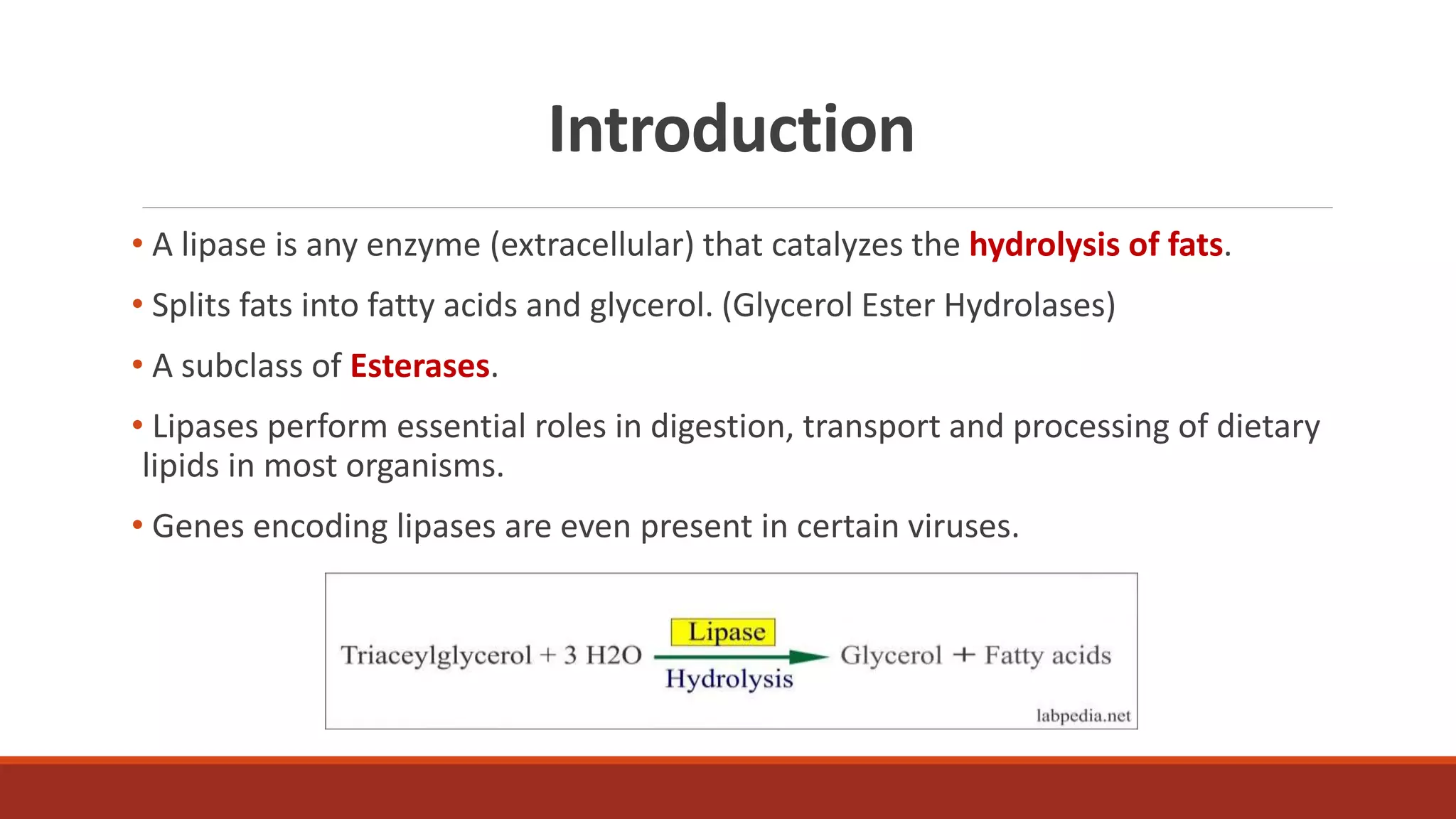 Lipases & Industrial Production of Lipases | PPTX