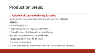Lipases & Industrial Production of Lipases | PPTX