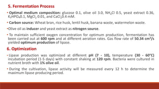 Lipases & Industrial Production of Lipases | PPTX