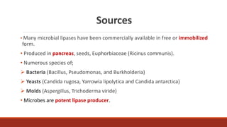 Lipases & Industrial Production of Lipases | PPTX