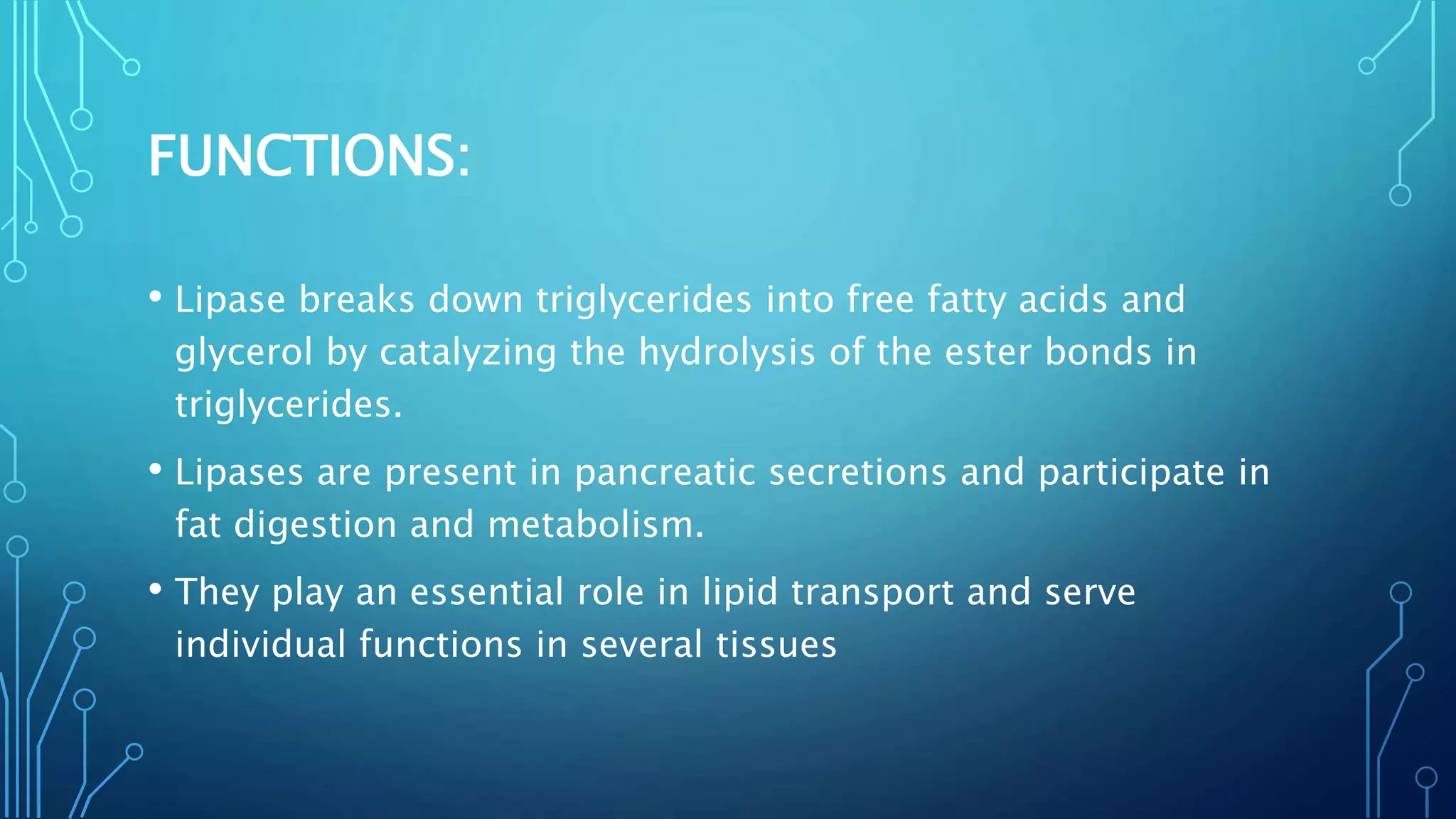 LIPASE Structure.pptx