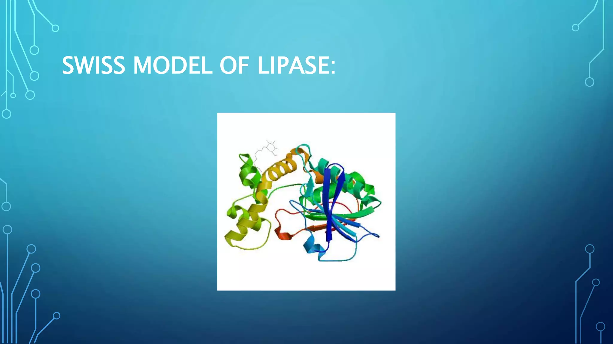 LIPASE Structure.pptx