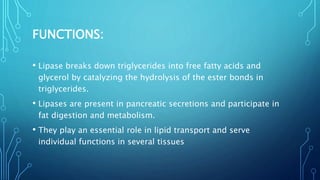 LIPASE Structure.pptx