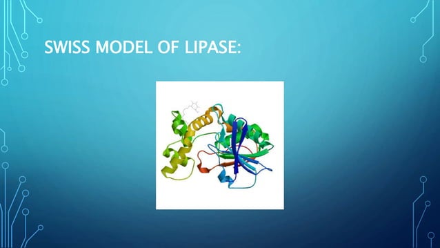 LIPASE Structure.pptx