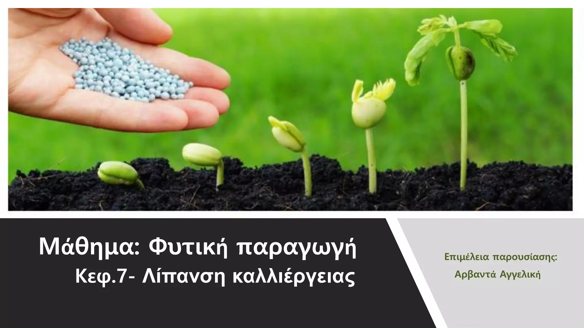 Λίπανση της καλλιέργειας | PDF