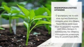 Λίπανση της καλλιέργειας | PDF
