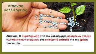 Λίπανση της καλλιέργειας | PDF