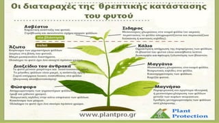 Λίπανση της καλλιέργειας | PDF