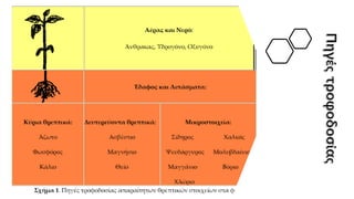 Λίπανση της καλλιέργειας | PDF