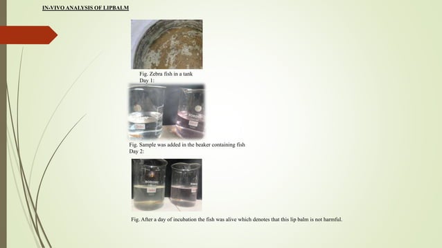 FORMULATION AND EVALUATION OF HERBAL LIP BALM FROM NATURAL EDIBLE ...