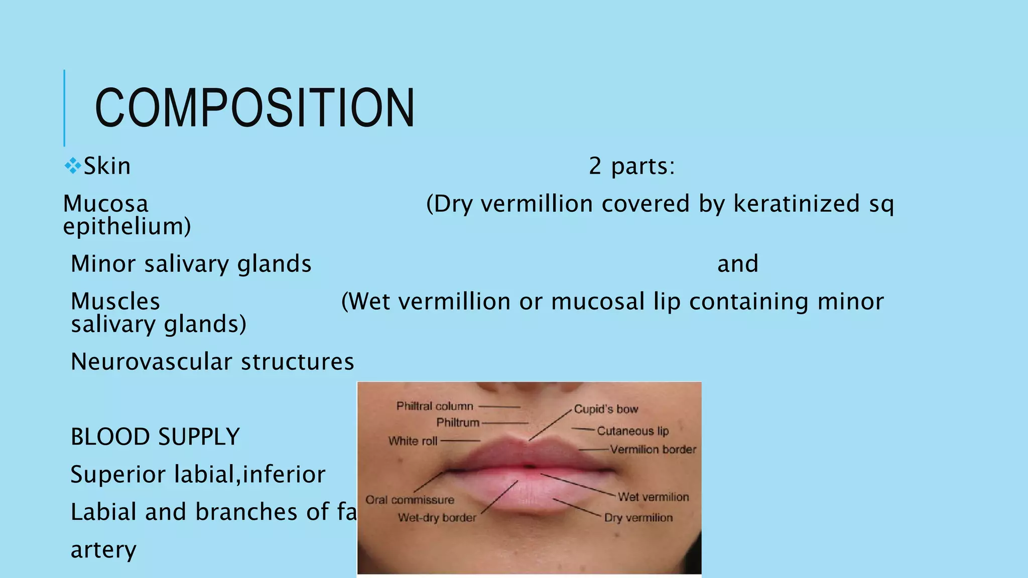 Lip cancer ( updated ) | PPTX