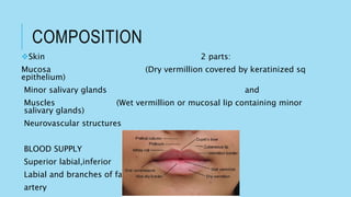 Lip cancer ( updated ) | PPTX