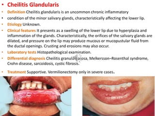 Lip diseases.pdf