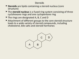 Lipid Digestion Muhammad Mustansar FJMC LAHORE | PPT
