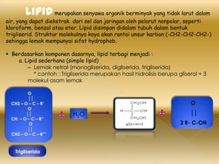 Lipid | PPTX