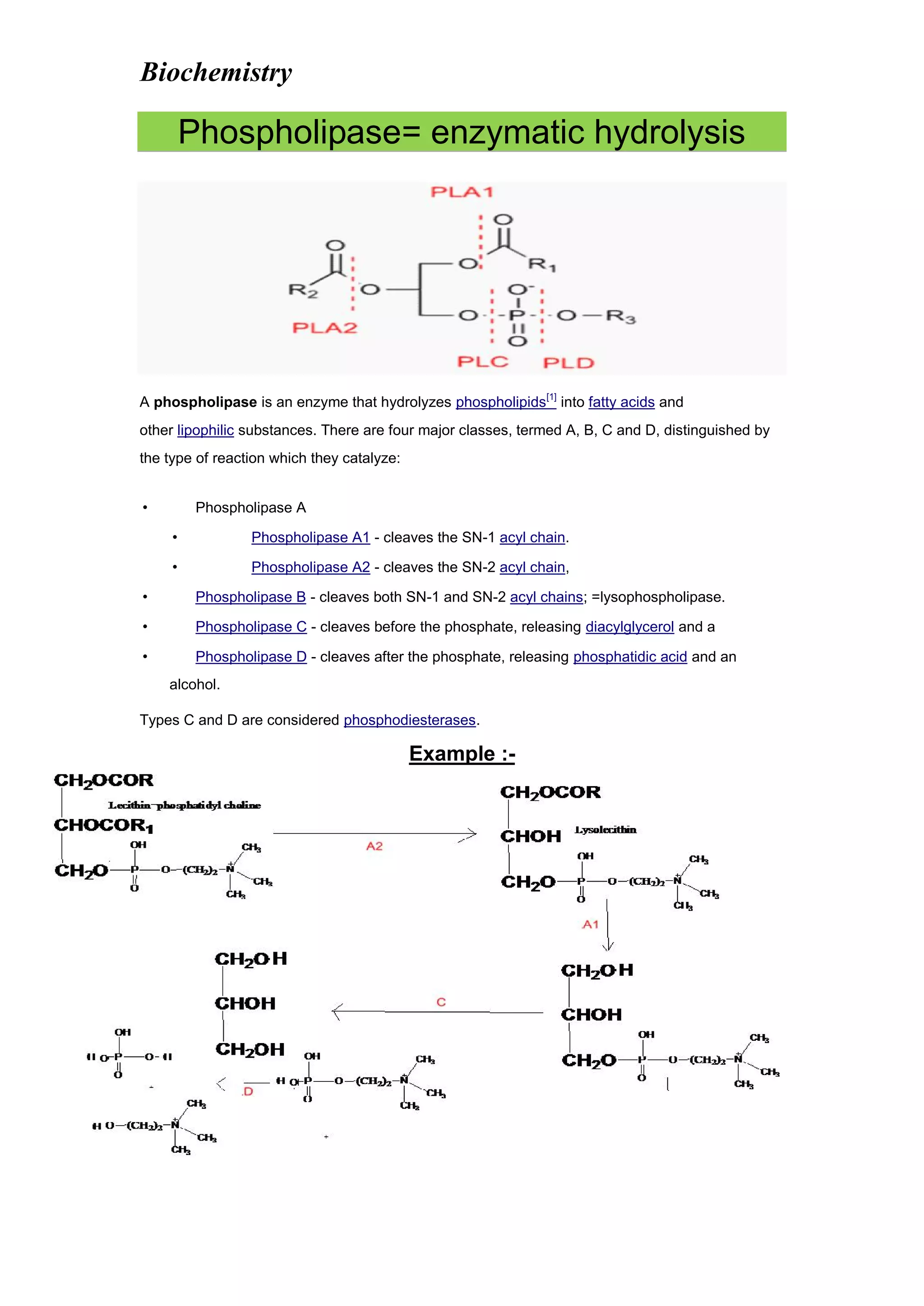 Lipid bio chemistry | PDF