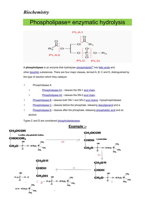 Lipid bio chemistry | PDF