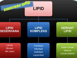 LIPID | PPTX