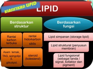 LIPID | PPTX