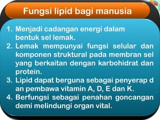 LIPID | PPTX