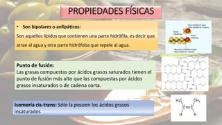 LOS LIPIDOS | PPTX