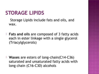 lipid.pptx
