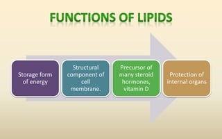 lipid.pptx