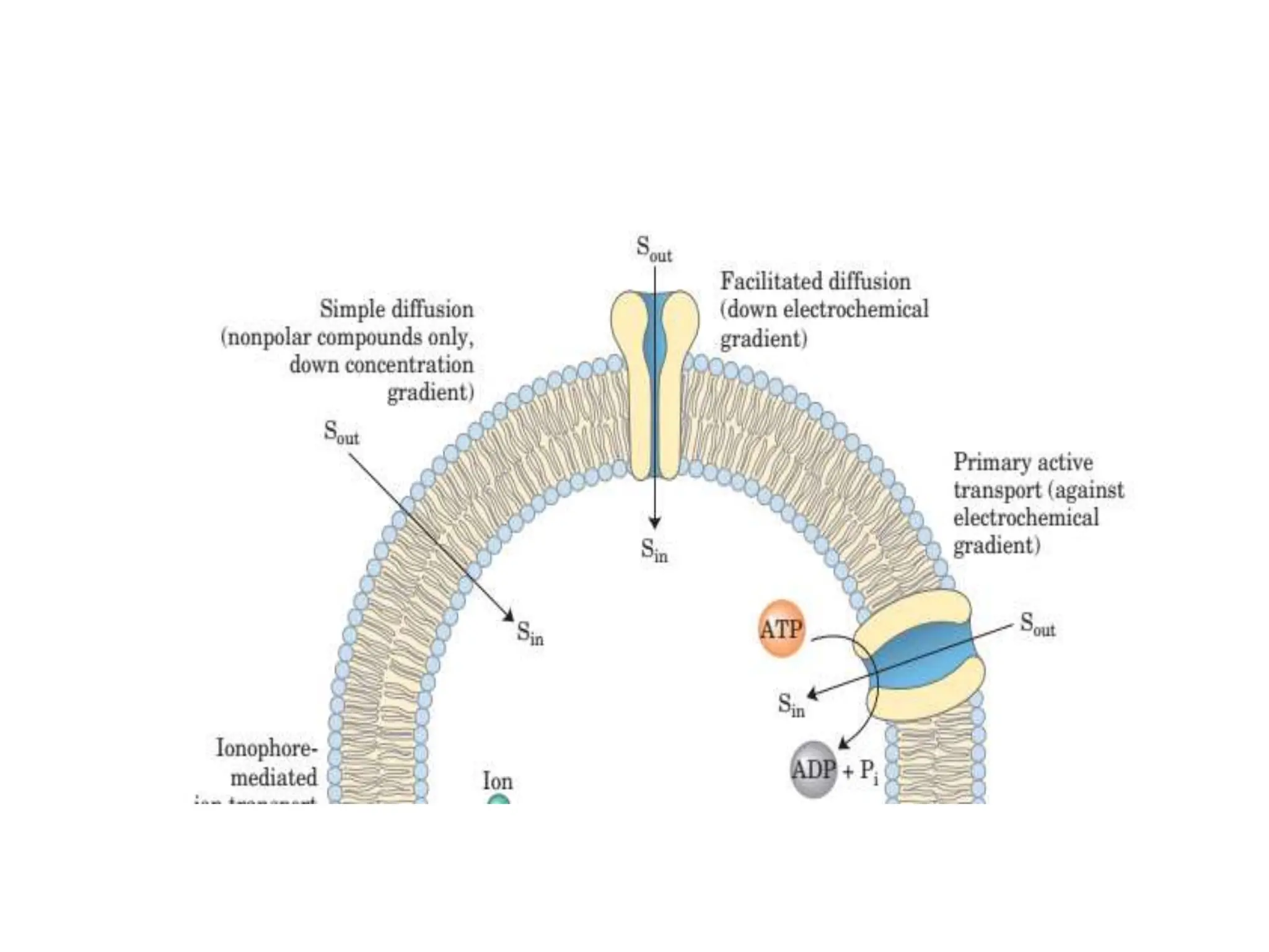 lipid,Types of lipids, classification.pptx