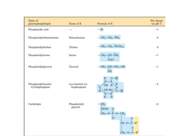 lipid,Types of lipids, classification.pptx