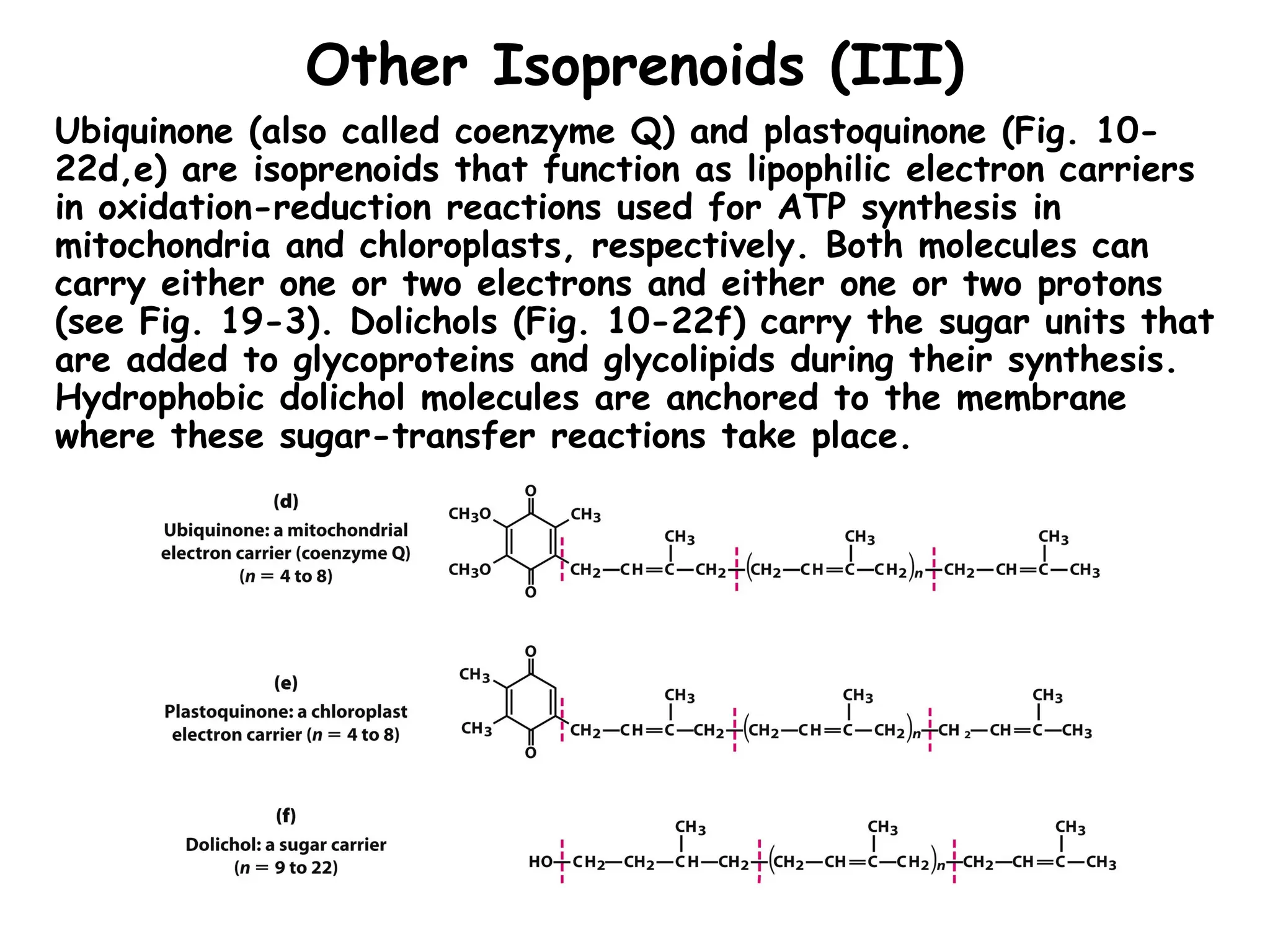 Lipid.ppt biochemistry of lipid detail science | PPT | Free Download