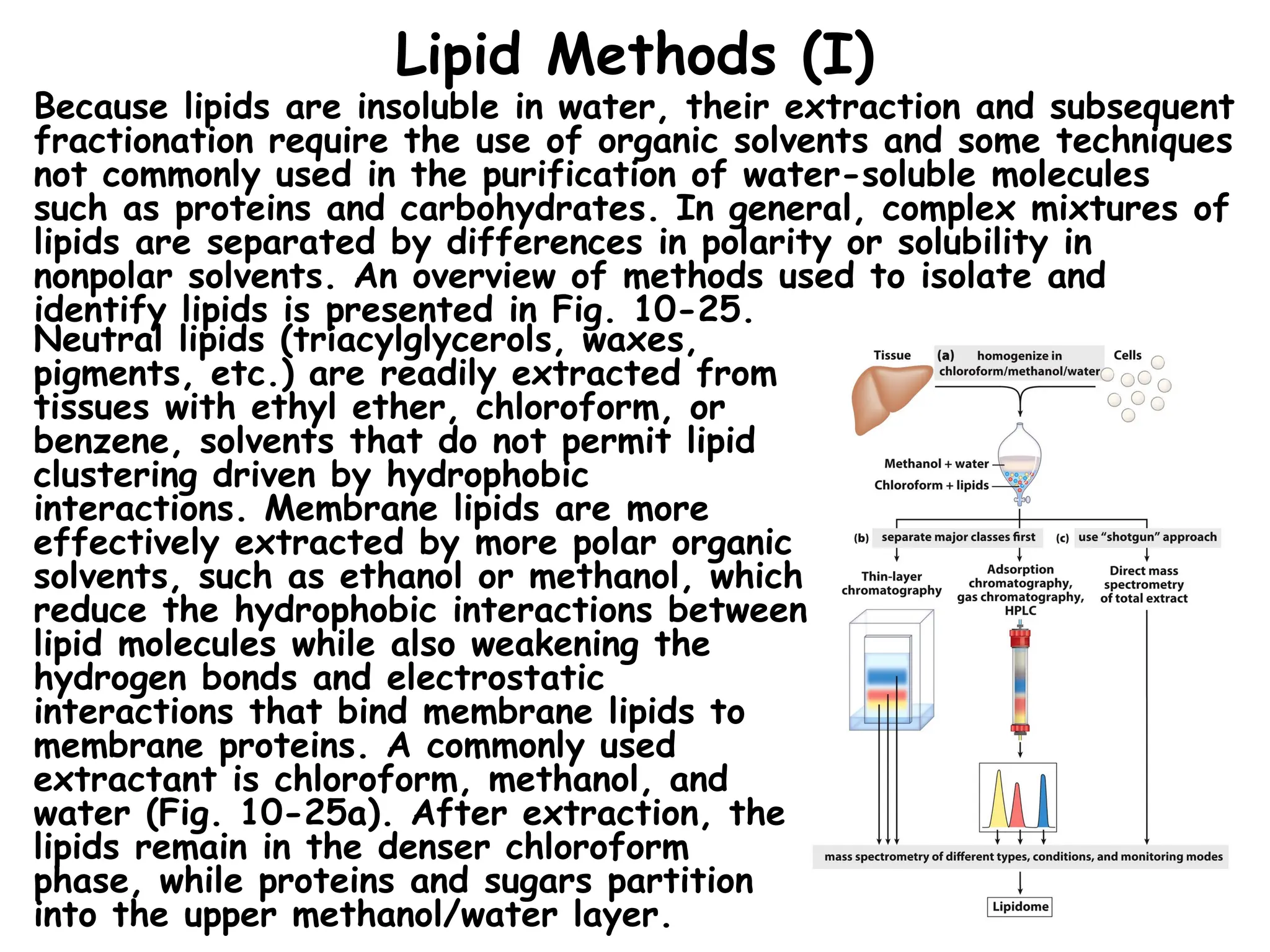 Lipid.ppt biochemistry of lipid detail science | PPT | Free Download