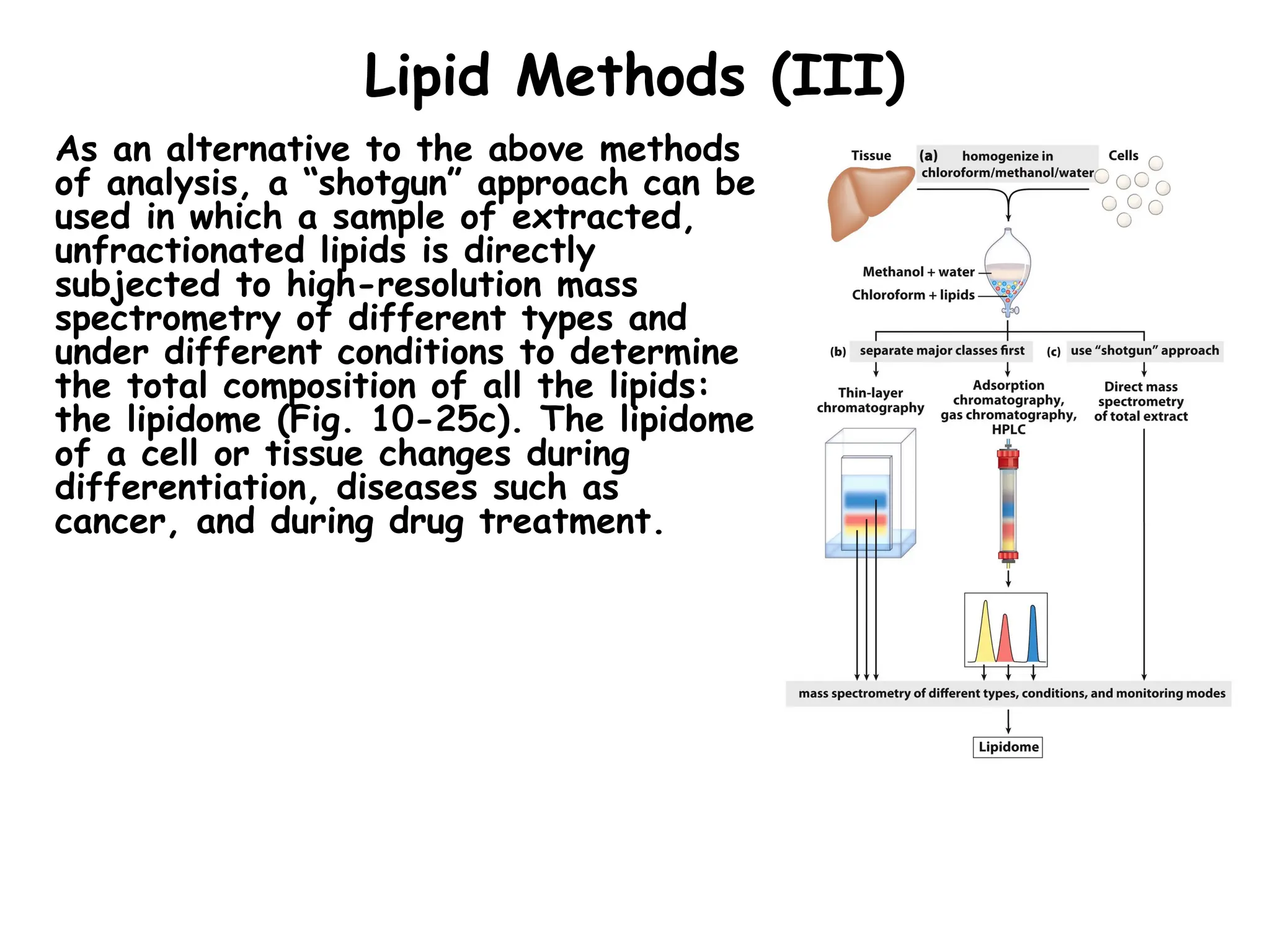 Lipid.ppt biochemistry of lipid detail science | PPT